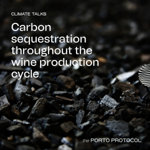 Carbon Sequestration & Wine: Diana Snowden Seysses, Carlos de Jesus ...